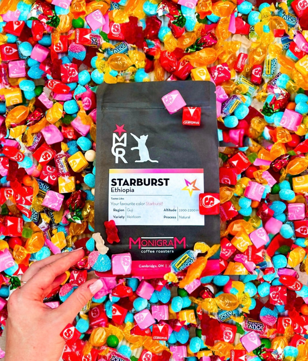 Monigram Coffee Roasters